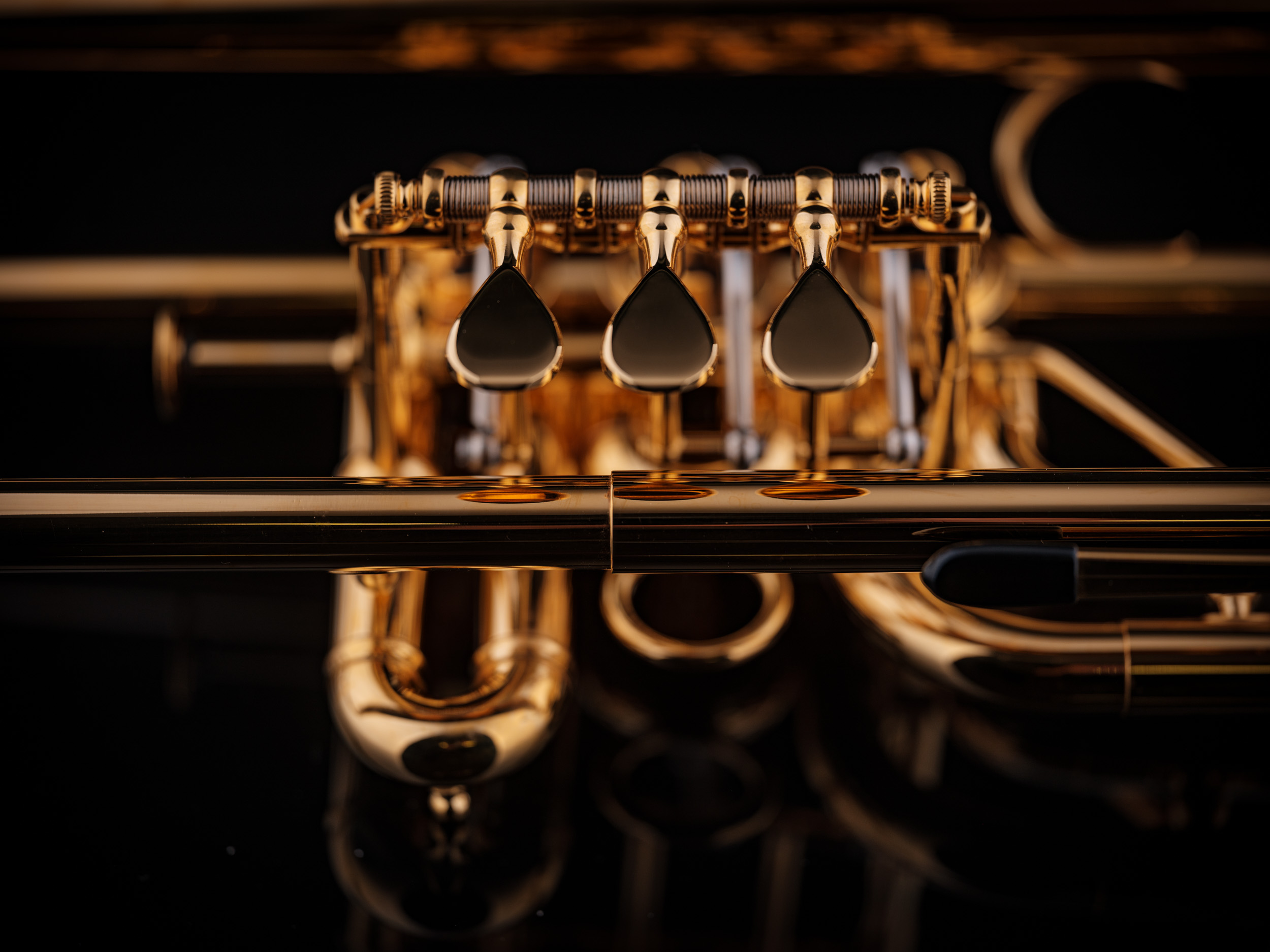 Schagerl Bb-Trumpet “HANS GANSCH“ gold plated buy from schagerl.com