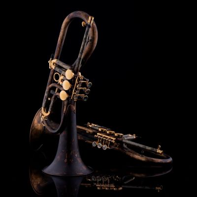 Schagerl Rotary Valve Instruments – Masterful Precision