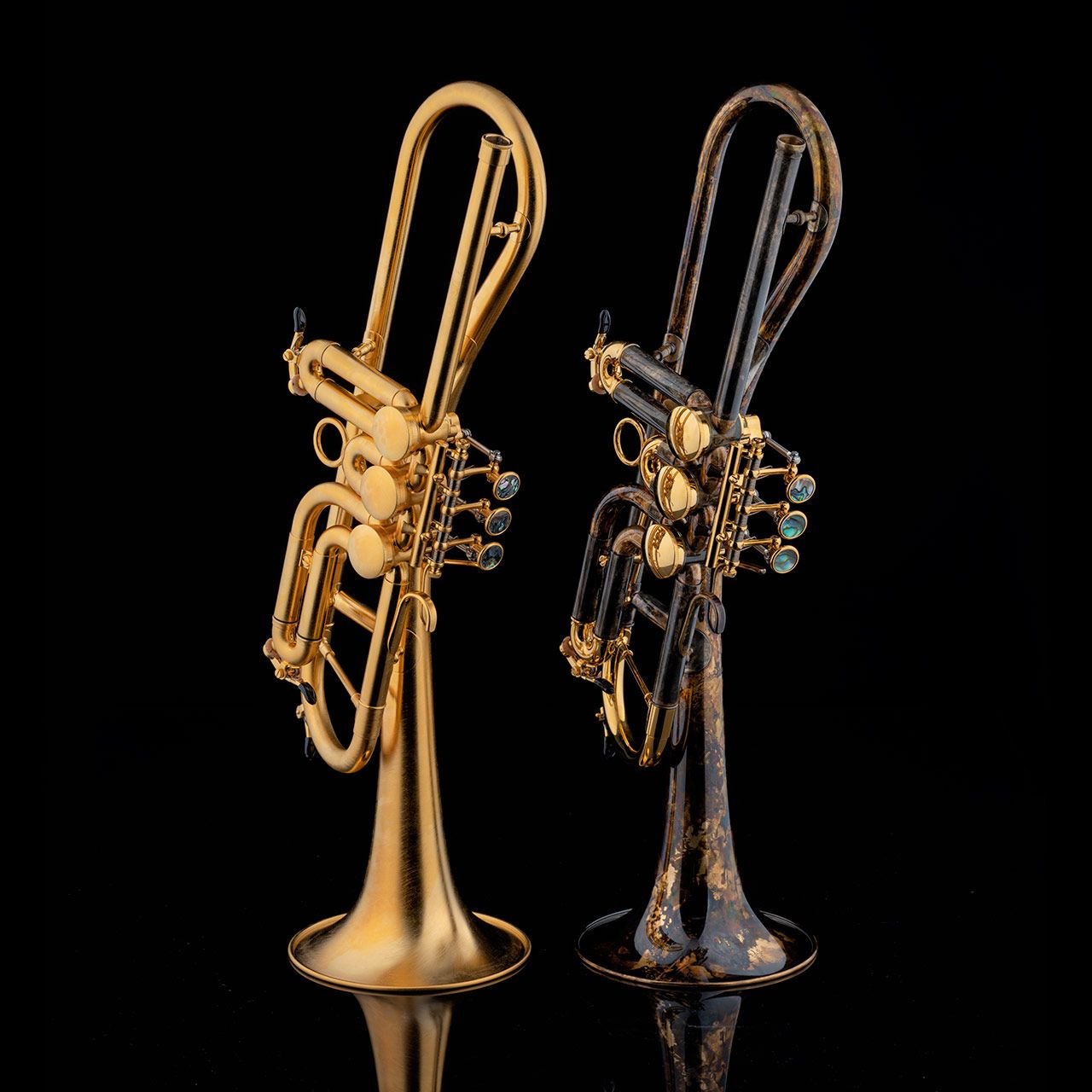 Schagerl Rotary Valve Instruments – Masterful Precision